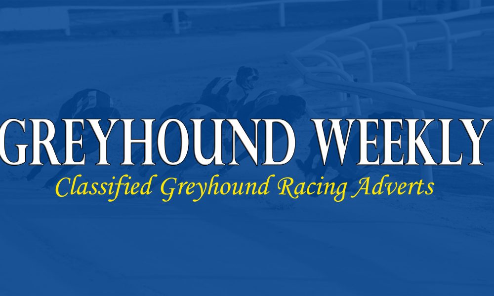 The Valley - Greyhound Weekly