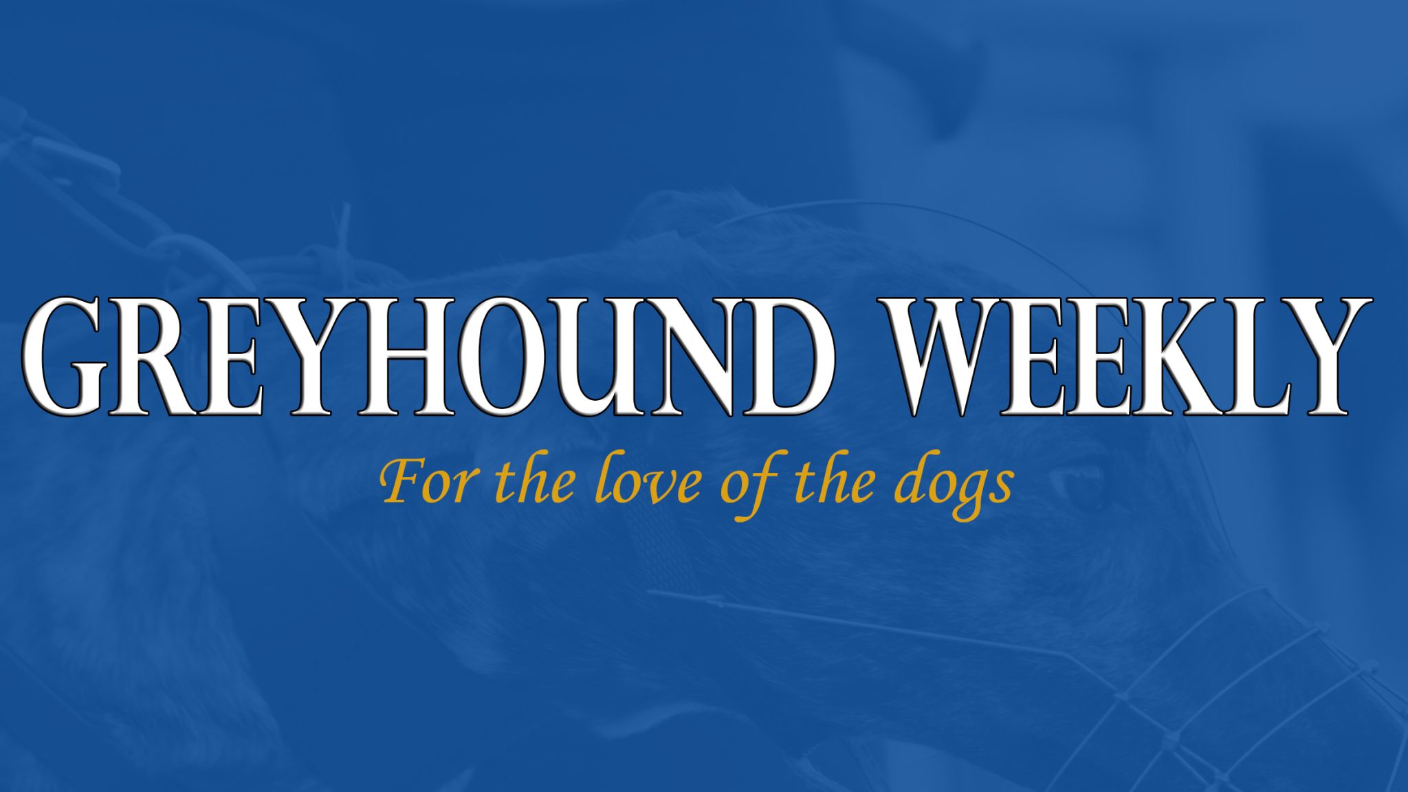GBGB PUBLISHES FULL OPEN RACE CALENDAR FOR 2025 - Greyhound Weekly