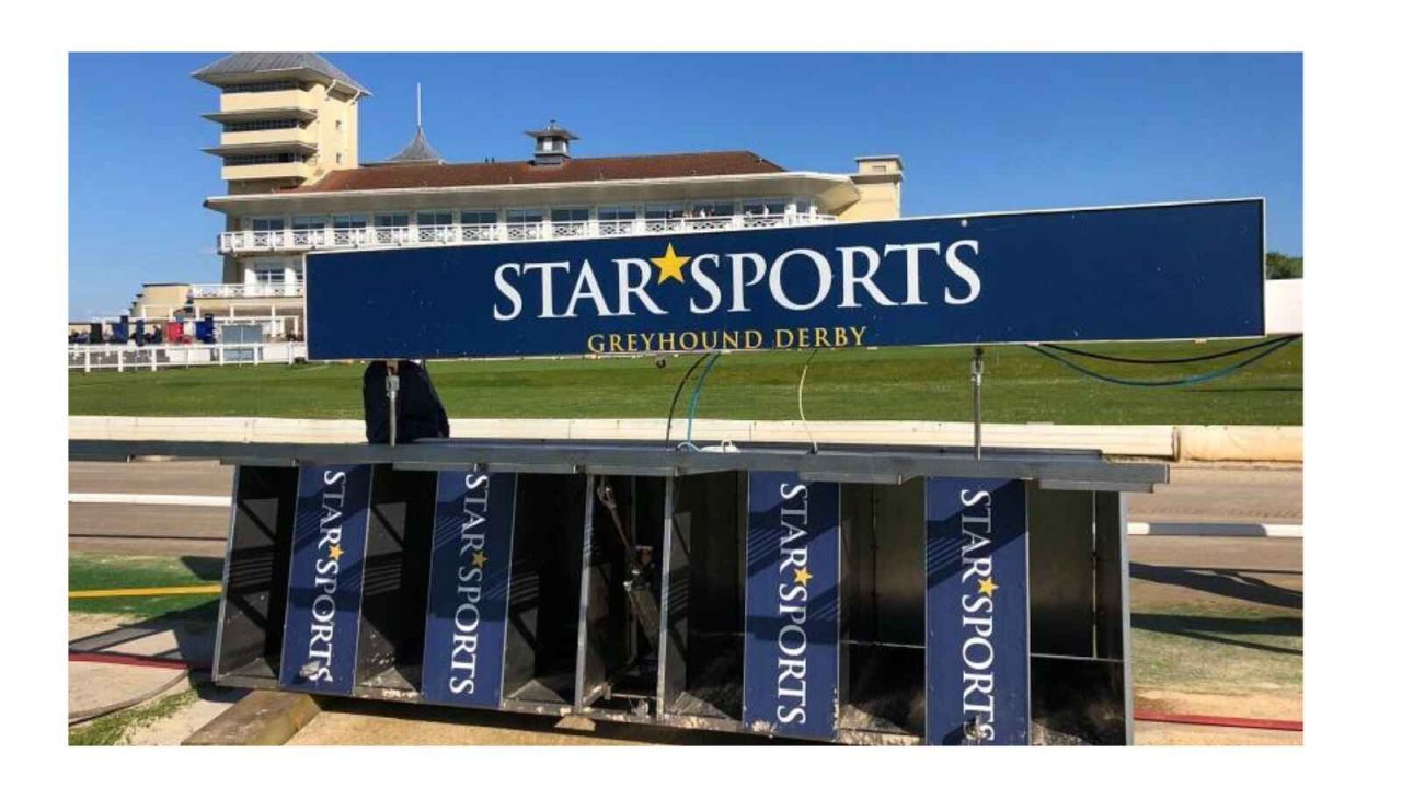 Track Updates & Trainer Standings - Greyhound Weekly