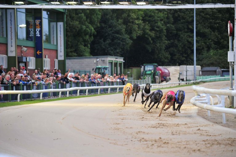 Dunstall Park launches FREE ticket offer for Premier Greyhound Racing ...