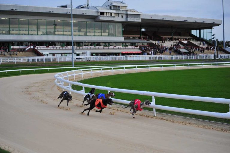 Dunstall Park Greyhound Stadium build enters final phase, with ...